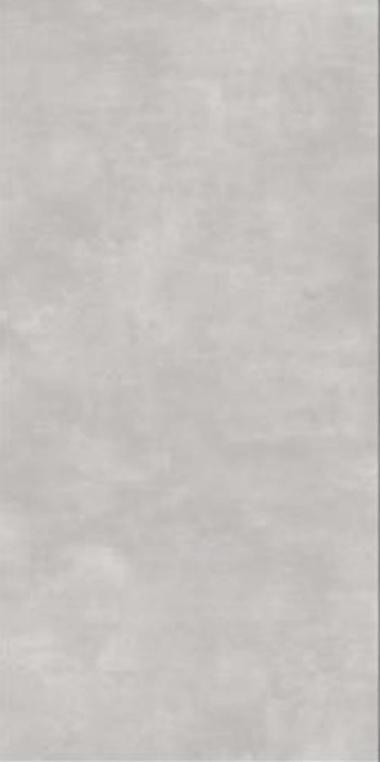 POR ESM LUXOR LIGHT GREY MAT 60x120 RT | Prosein