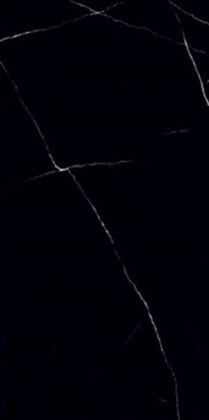 POR ESM NERO MARQUINA PULIDO 60x120 RT | Prosein