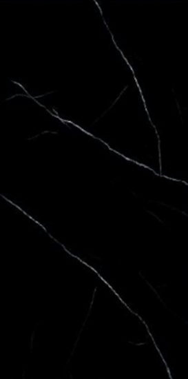 POR ESM NERO MARQUINA PULIDO 60x120 RT | Prosein