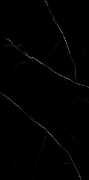 POR ESM NERO MARQUINA PULIDO 60x120 RT | Prosein